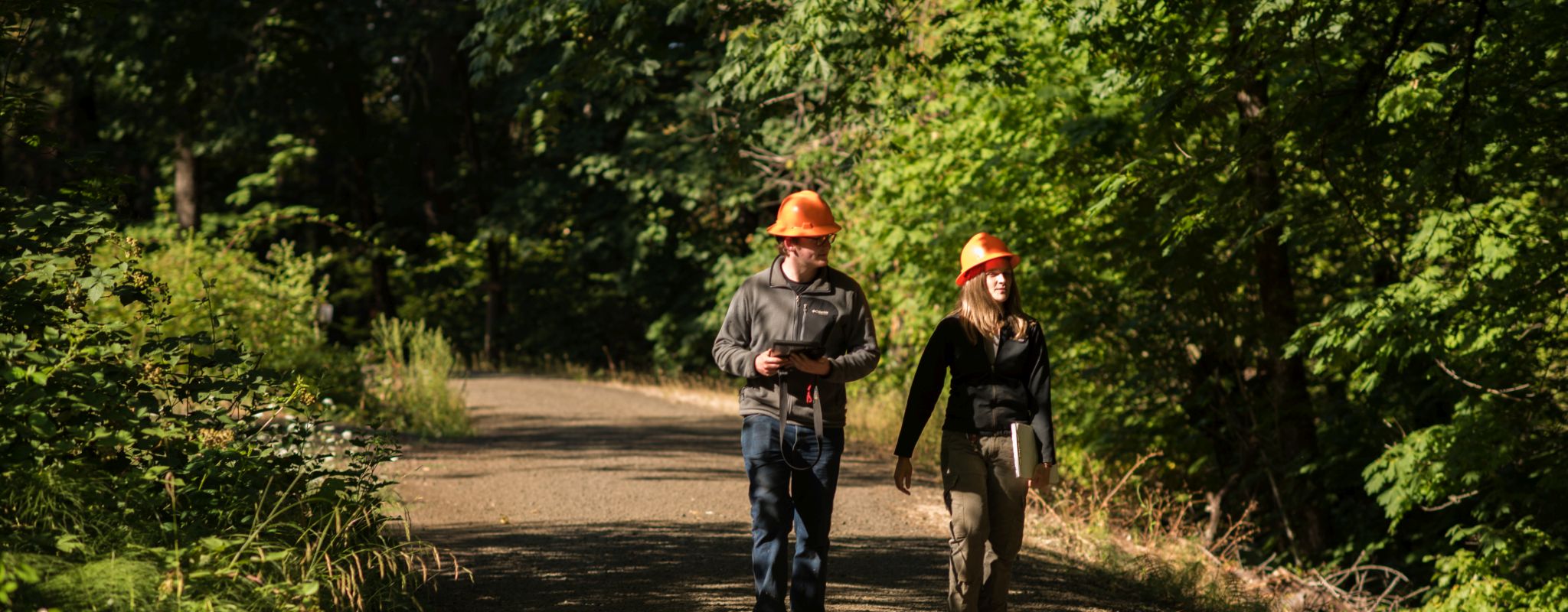 Homepage | College of Forestry